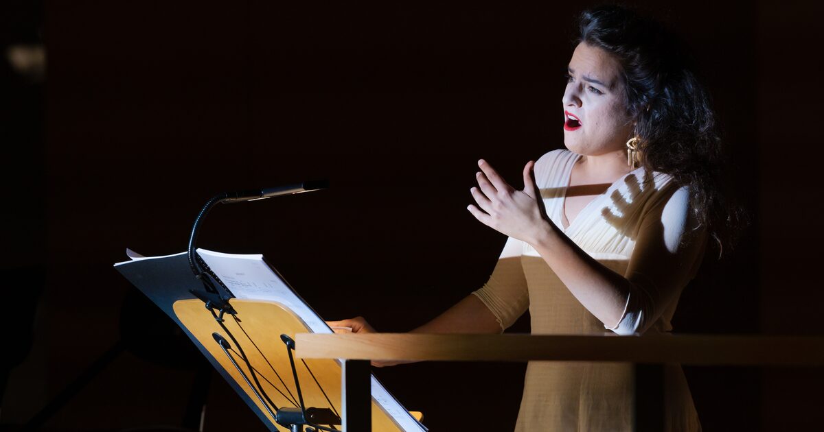 Widmann Labyrinth IV